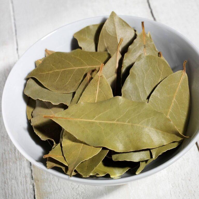 Louro em Folha - Emporio Xingu